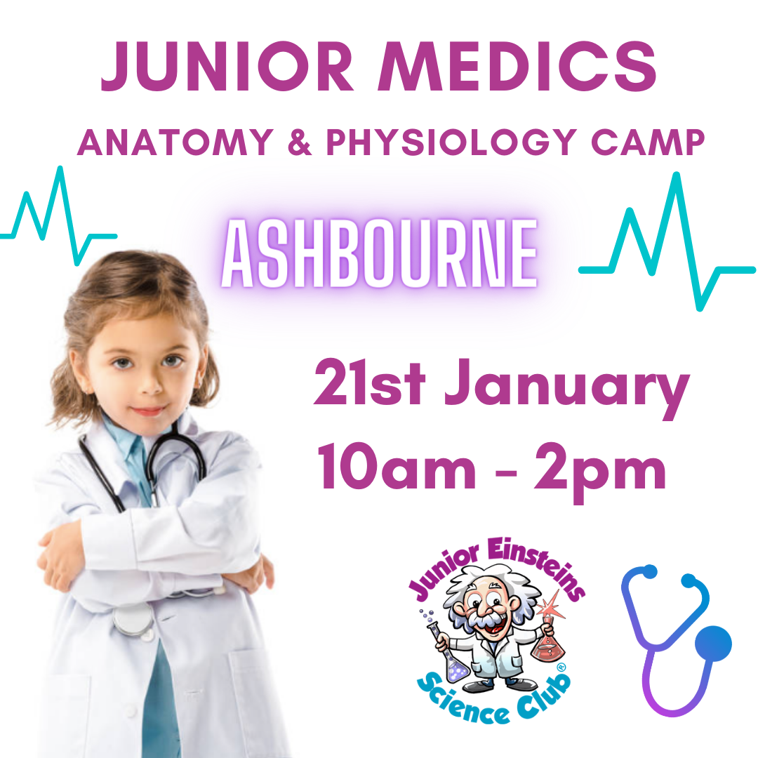 Ashbourne - Junior Medics & Anatomy Science Camp (Saturday 21st January ...