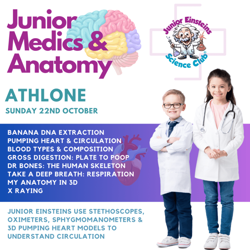 Athlone - Junior Medics & Anatomy Camp - Sunday 22nd October (at TUS Athlone from 9:30am -1:30pm ...