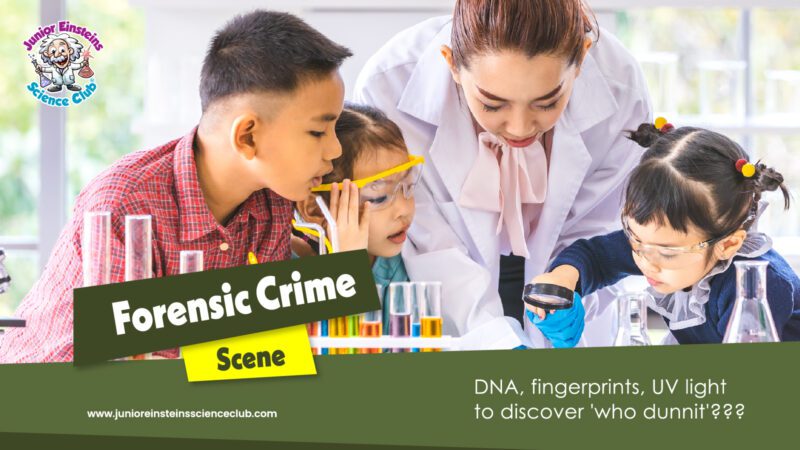 School Science Shows STEM Workshops & School Tours