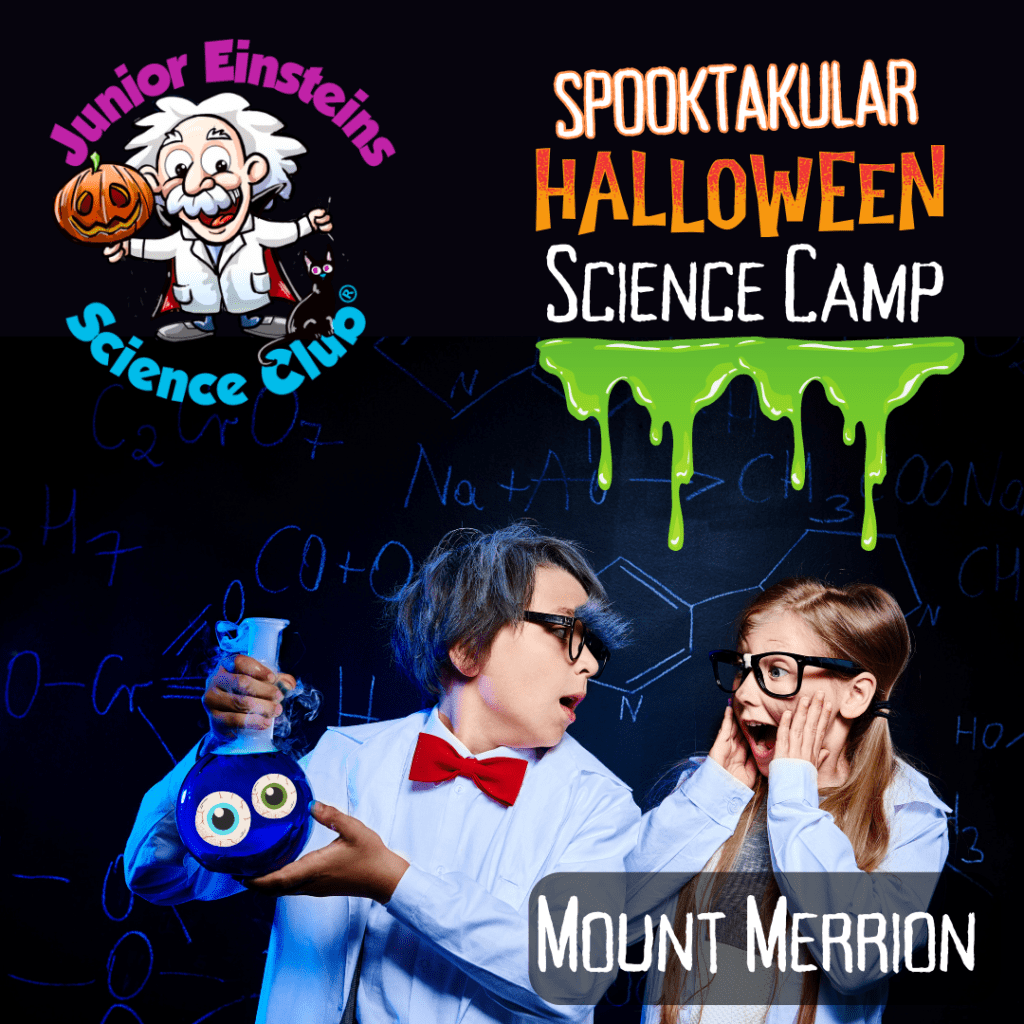 Best Kids Halloween Camp Mount Merrion Dublin