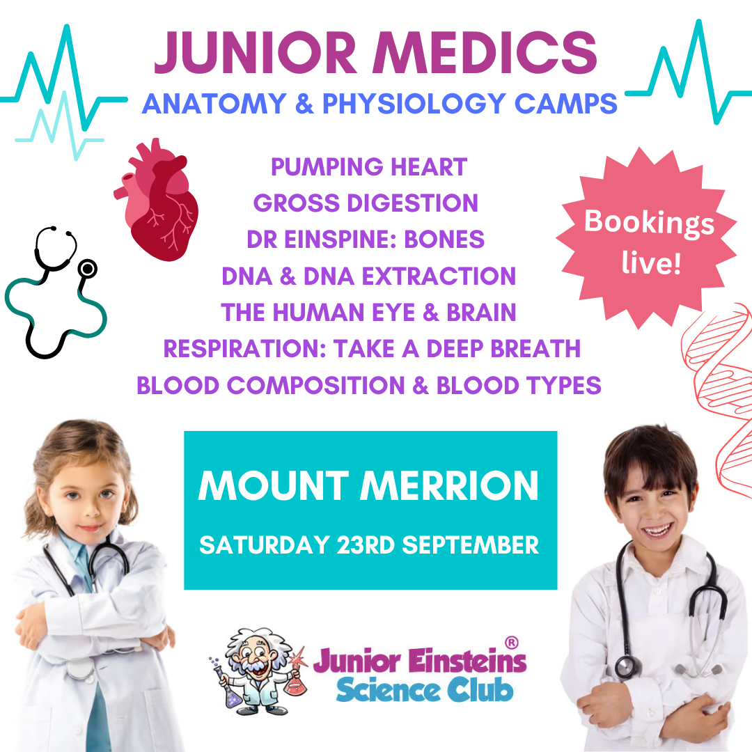 Mount Merrion - Junior Medics & Anatomy - Saturday 23rd September 2023 ...