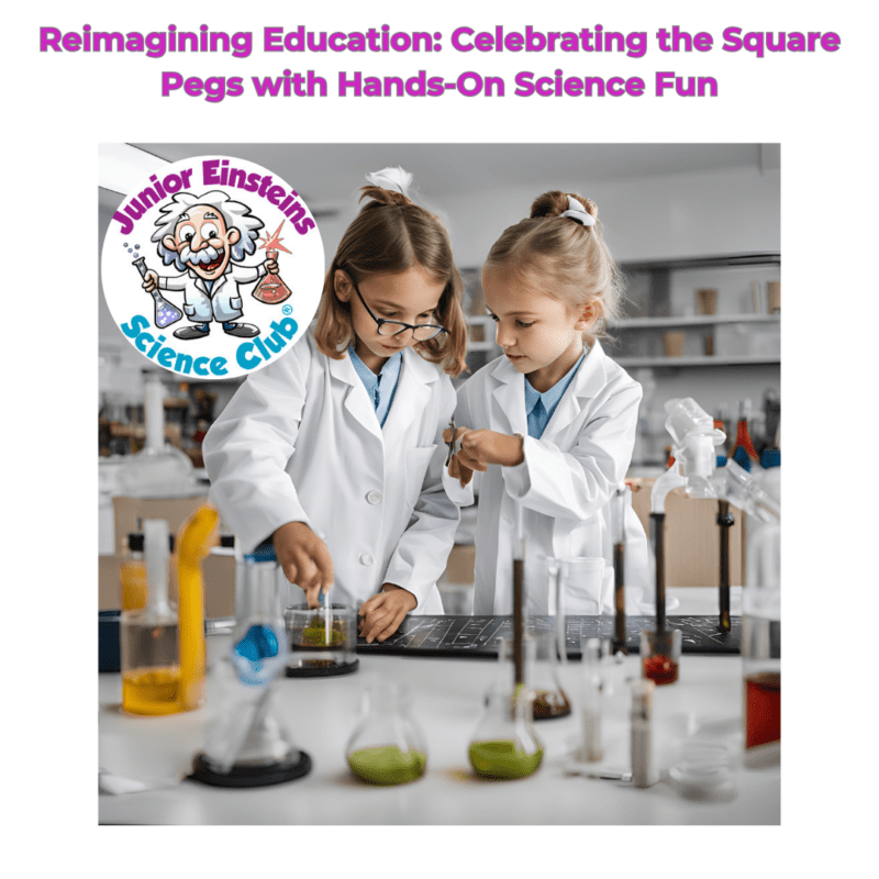 Reimagining Education Celebrating the Square Pegs