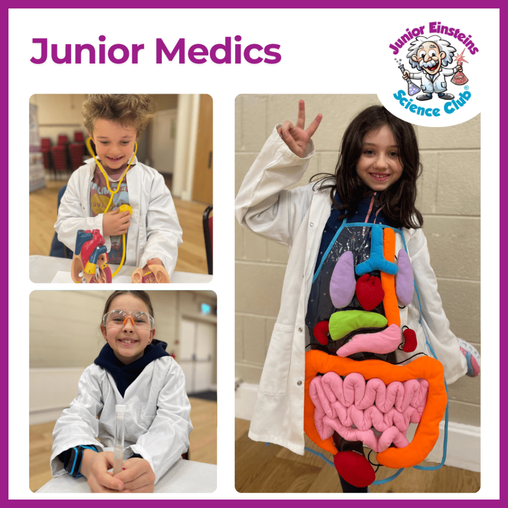 Junior Medics & Anatomy Camp for children- Sunday 13th July (10am-2pm ...